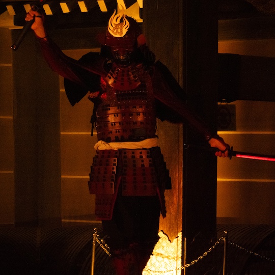 Ninja-Do performed a ninja show at Nijo Castle - Ninja show & Ninja ...